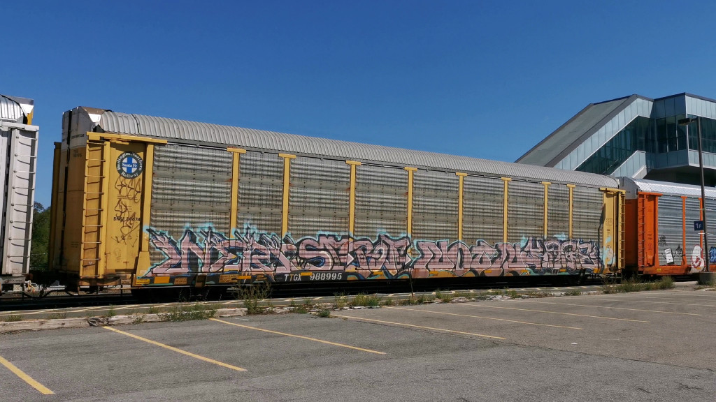 BNSF 24674 (Body) TTGX 988995 (Flat)